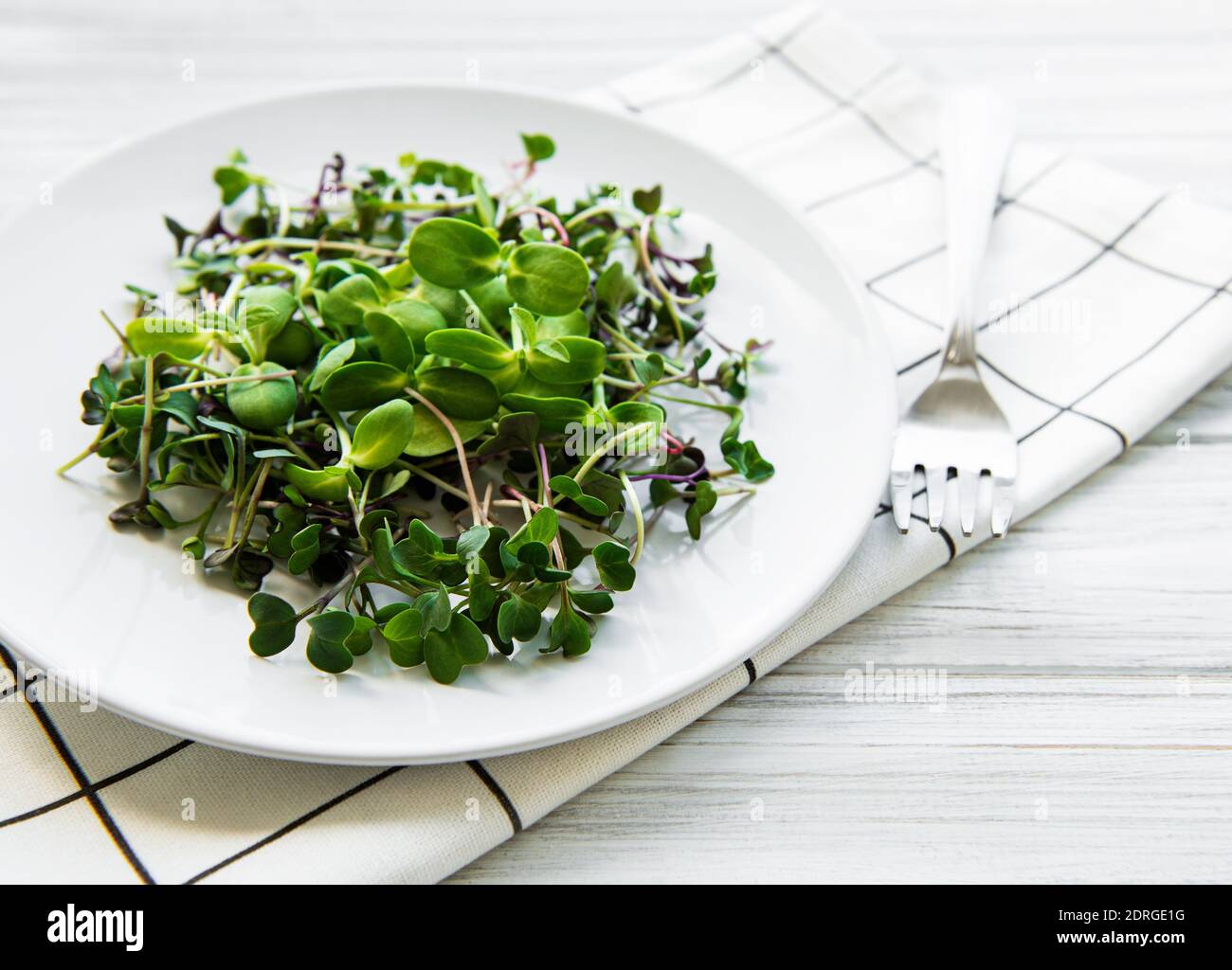 Micro greens in plate hi-res stock photography and images - Alamy