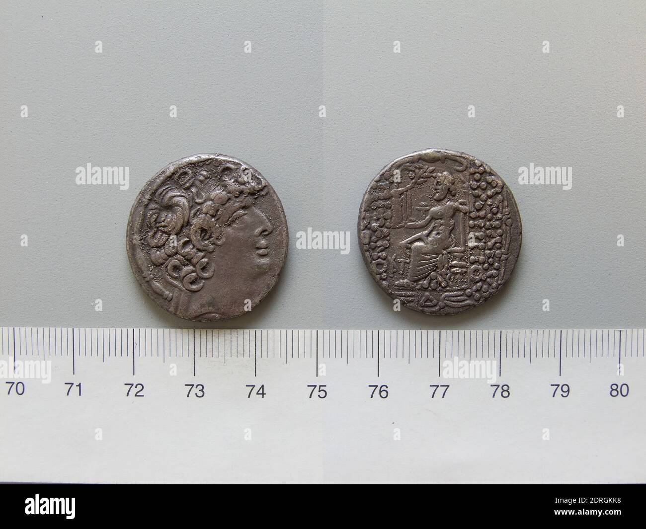 Caecilius hi-res stock photography and images - Alamy