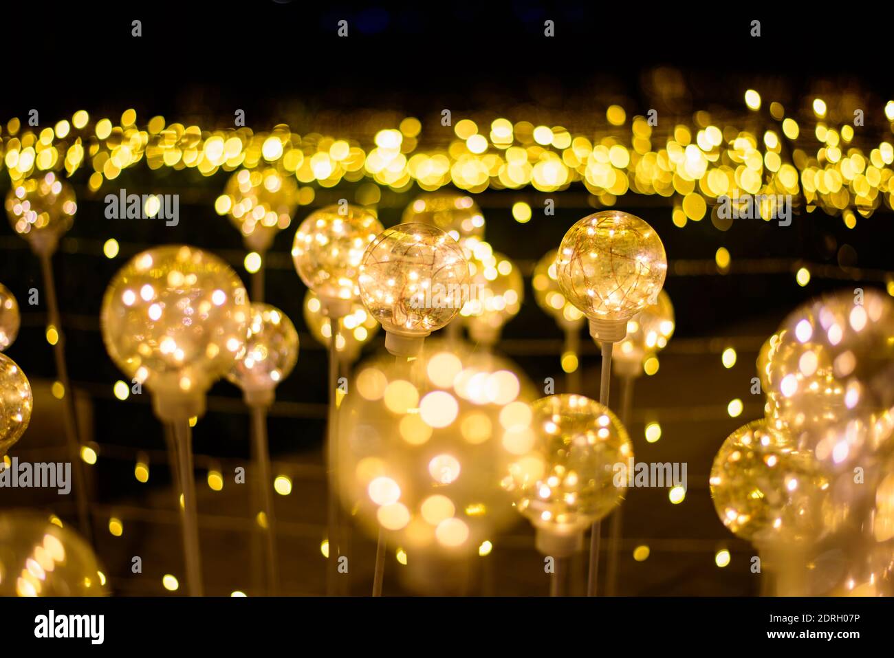 Lighting decorate on the tree in lighting festival showing countdown ...