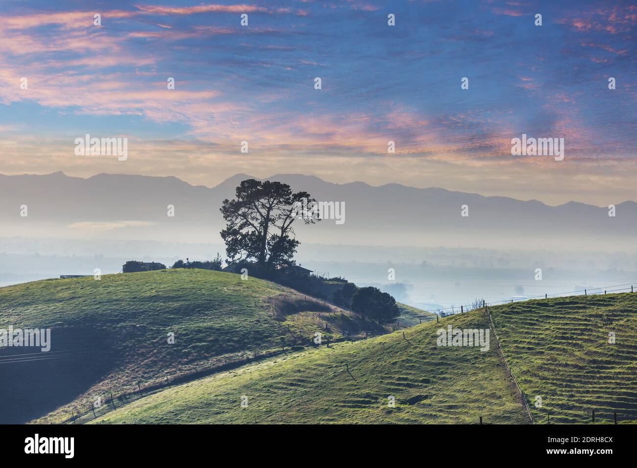 Beautiful rural landscape of the New Zealand at sunrise Stock Photo - Alamy