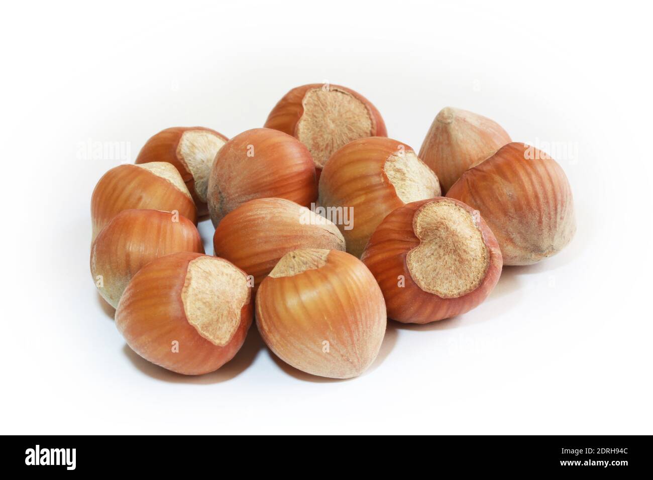 Hazelnuts isolated on white background. Studio shot Stock Photo - Alamy
