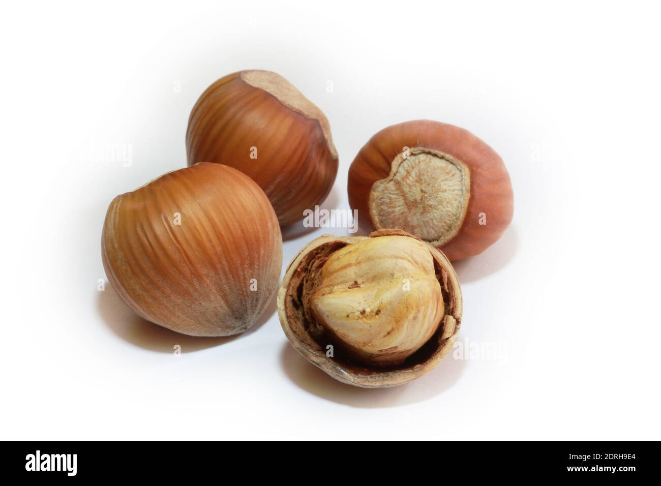 Hazelnuts isolated on white background. Studio shot Stock Photo - Alamy