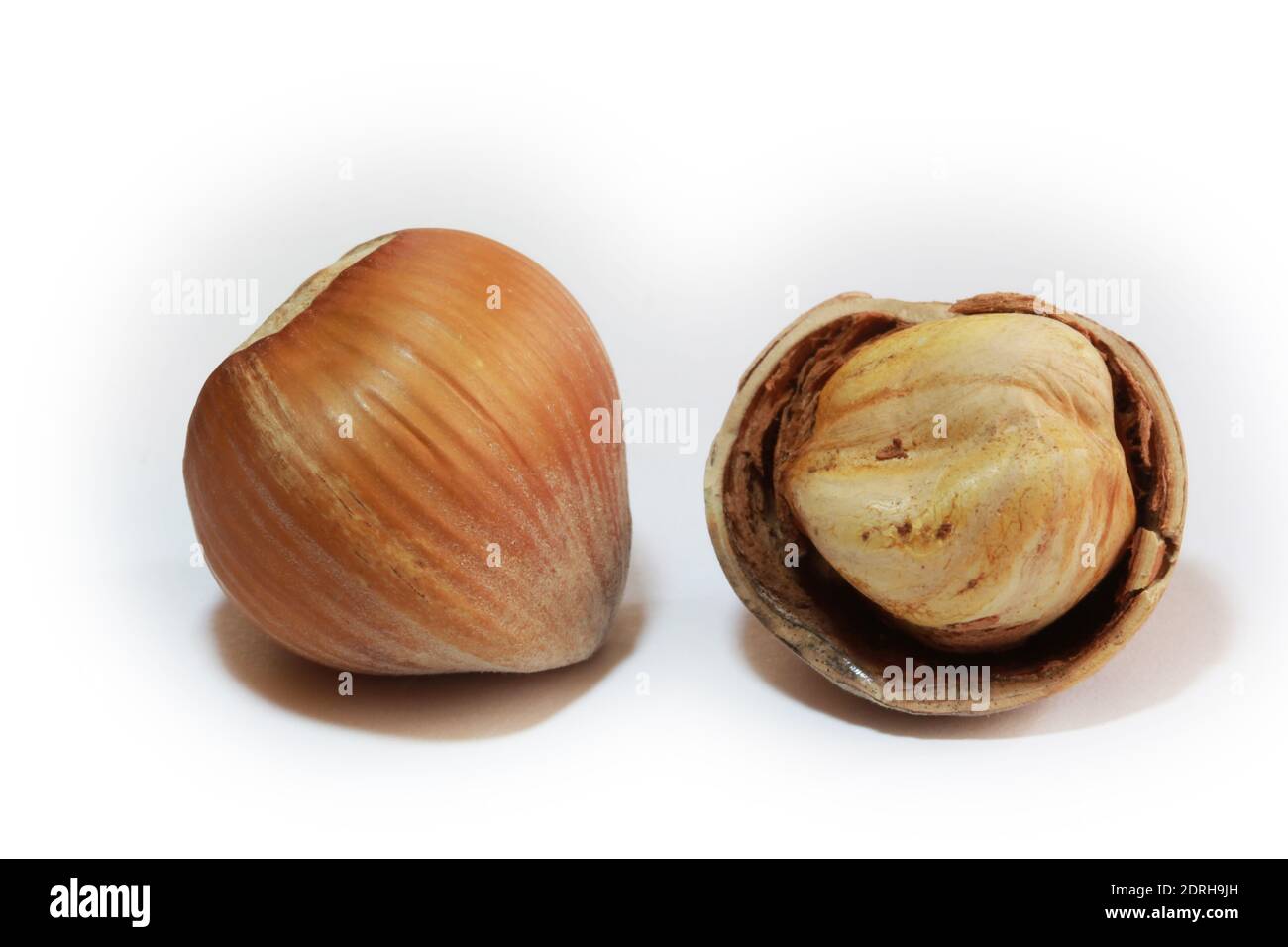 Hazelnuts isolated on white background. Studio shot Stock Photo - Alamy