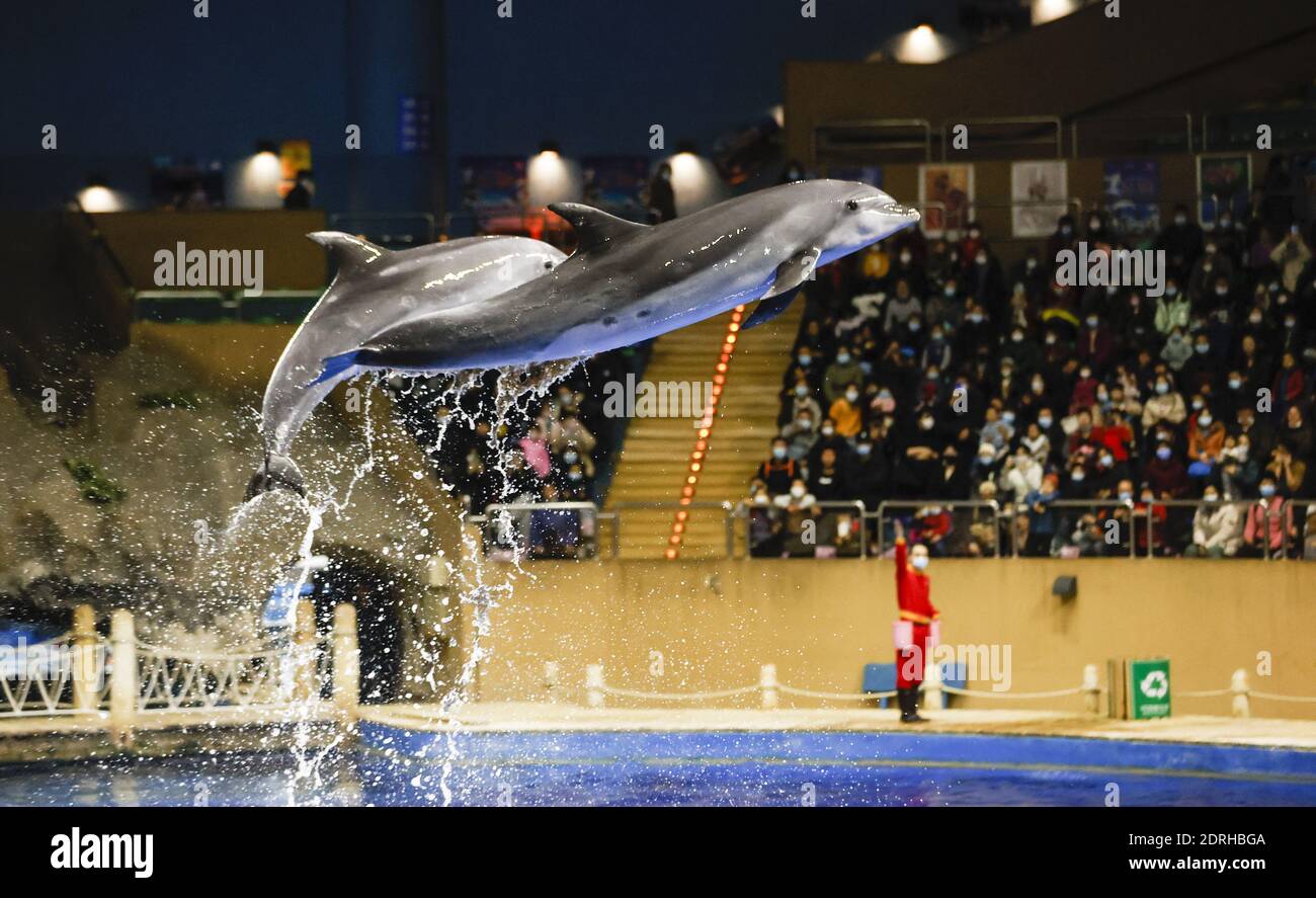 Beijing, China. 20th Dec, 2020. The white whale performance is held at ...