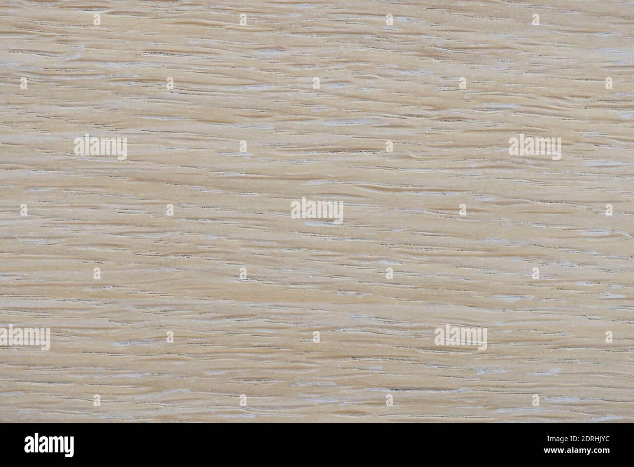 Light beige wood board. Floor coverings closeup Stock Photo - Alamy