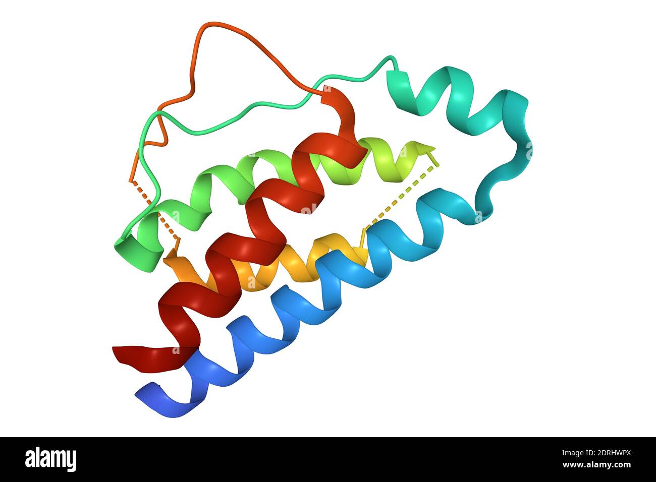 Interleukin hi-res stock photography and images - Alamy