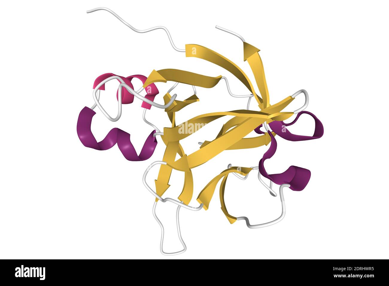 Structure of human interleukin-38, 3D cartoon model isolated, white ...