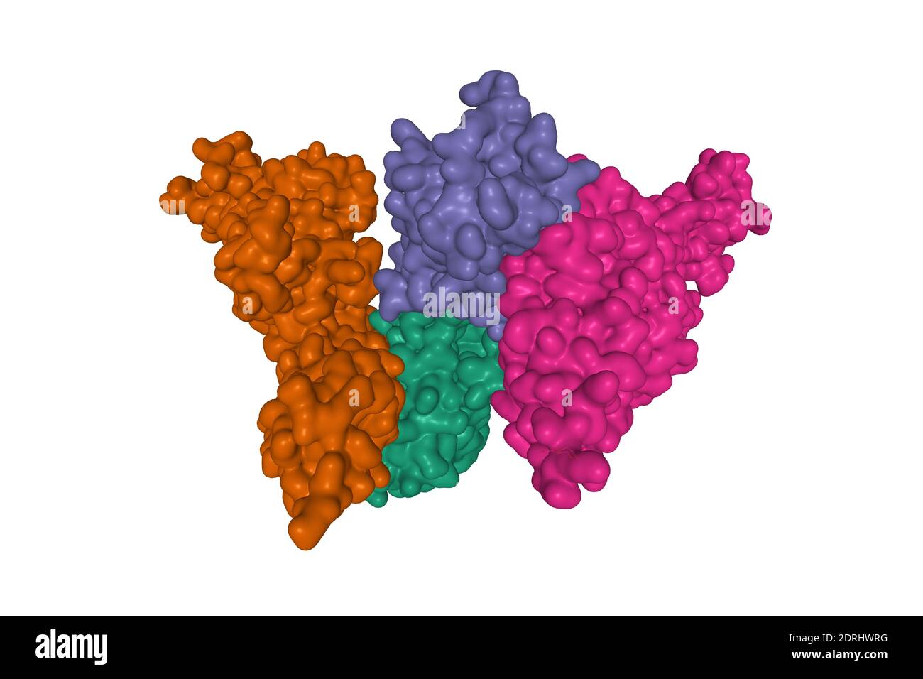 Structure of human interleukin-23 heterodimer, 3D Gaussian surface ...