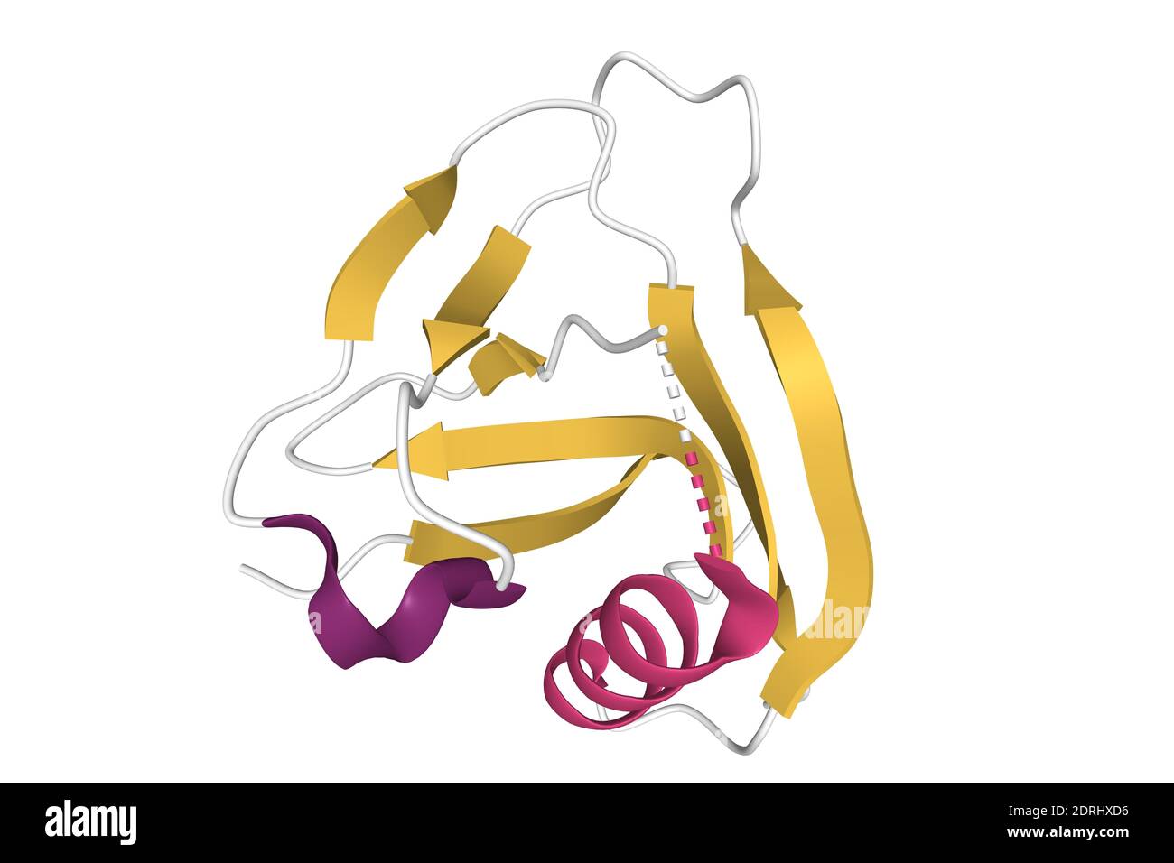 Crystal structure of CD5 DIII with the differently colored secondary ...