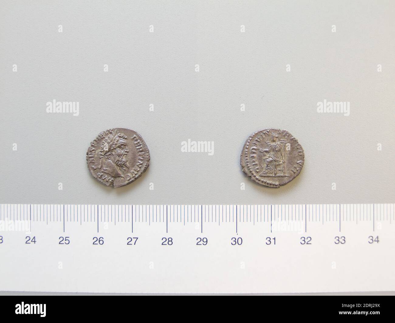 Helvius pertinax hi-res stock photography and images - Alamy