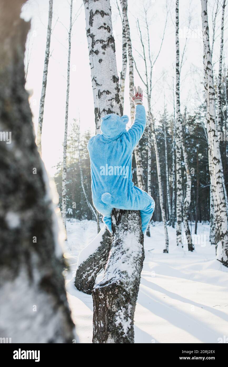 Rear View Of Mid Adult Man Climbing Tree In Forest During Winter Stock ...