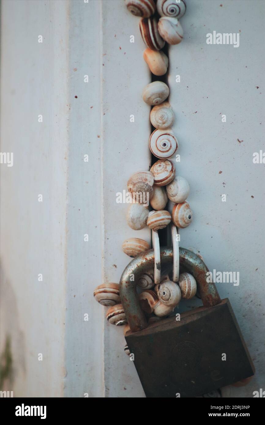 Locked up animals hi-res stock photography and images - Alamy