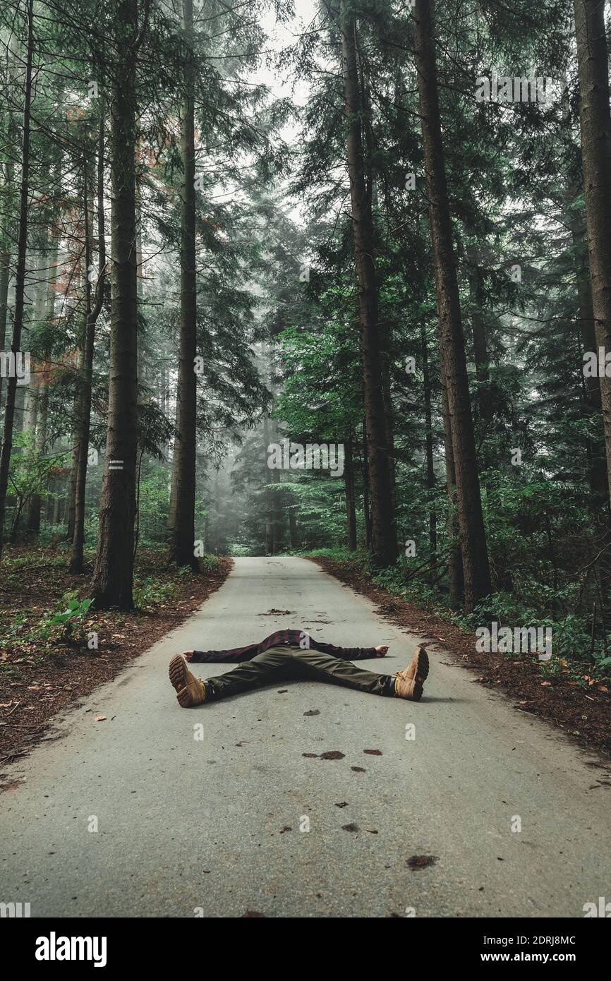 Tree lying in the road hi-res stock photography and images - Alamy