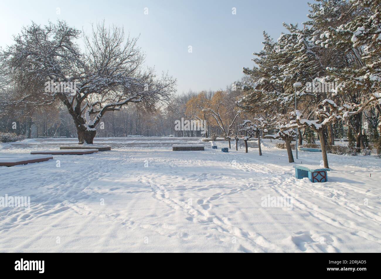 Beautiful winter landscape, square in the park, trees, benches covered ...