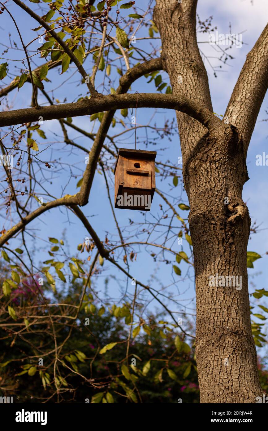A vertical low angle shot of a box nest for small birds on a tree ...