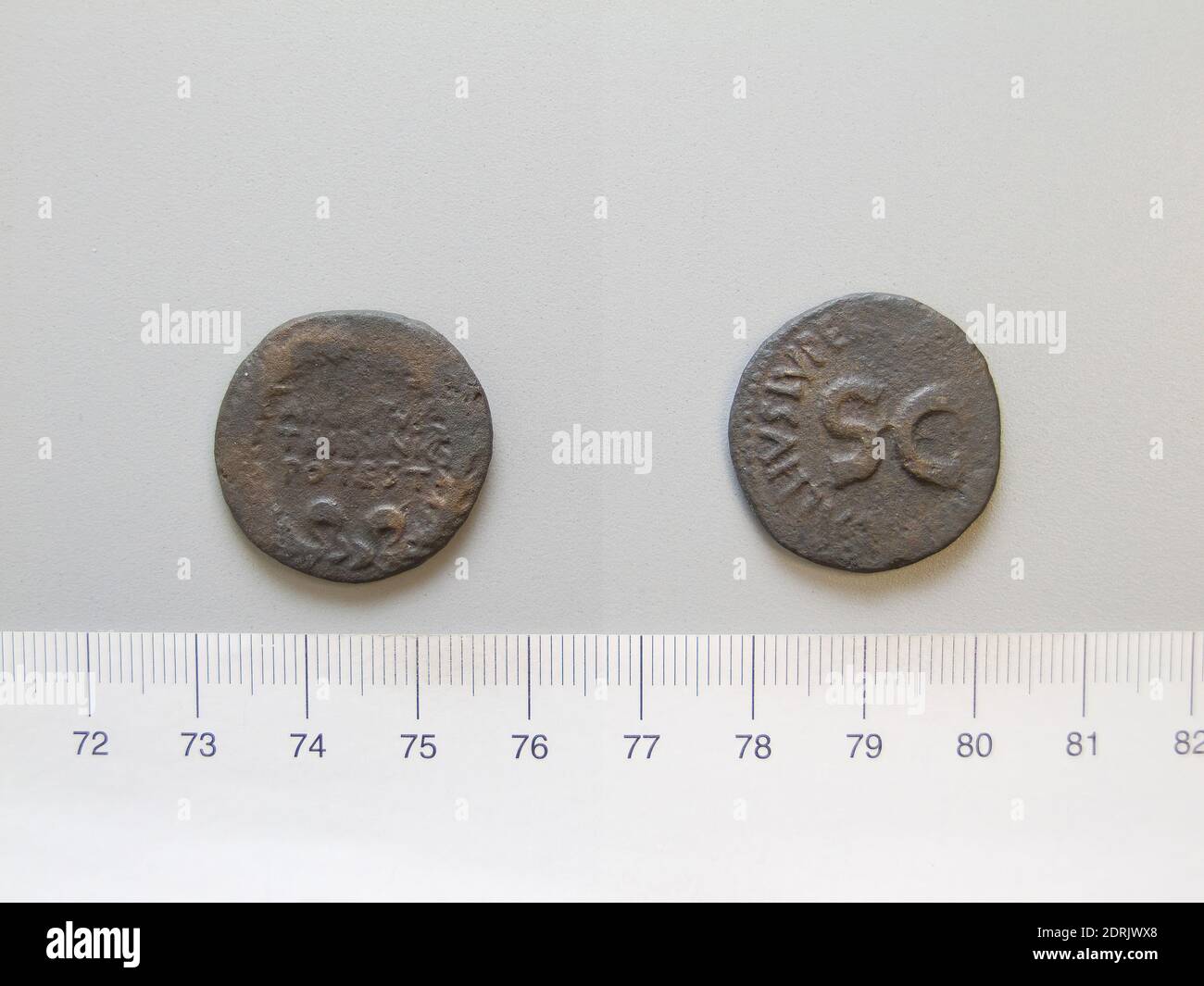 C gallius lupercus hi-res stock photography and images - Alamy