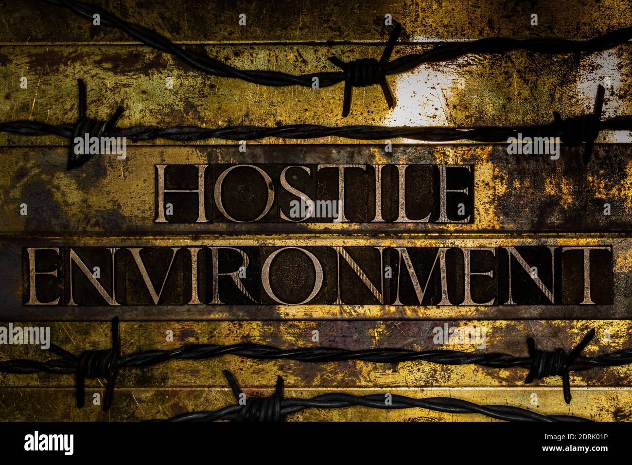 Hostile Home Environment