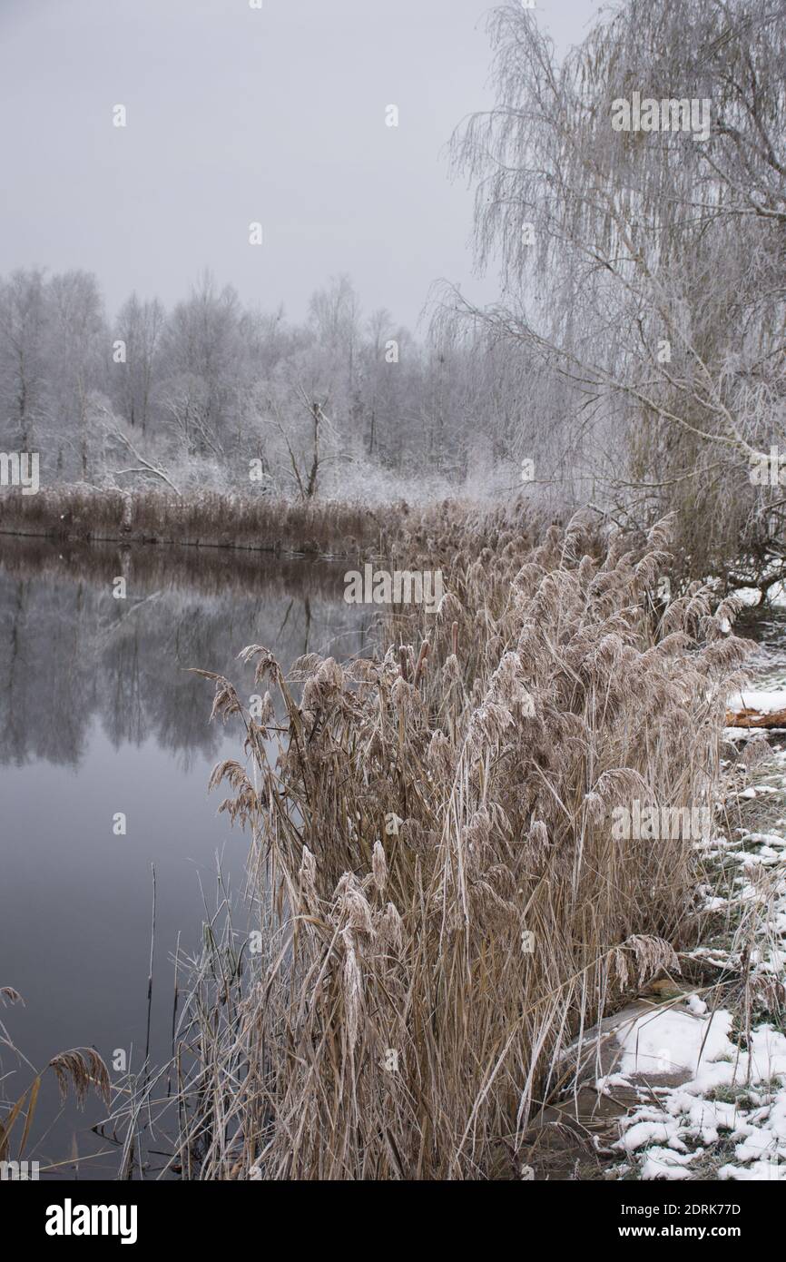 Frosty scenery landscape hi-res stock photography and images - Alamy