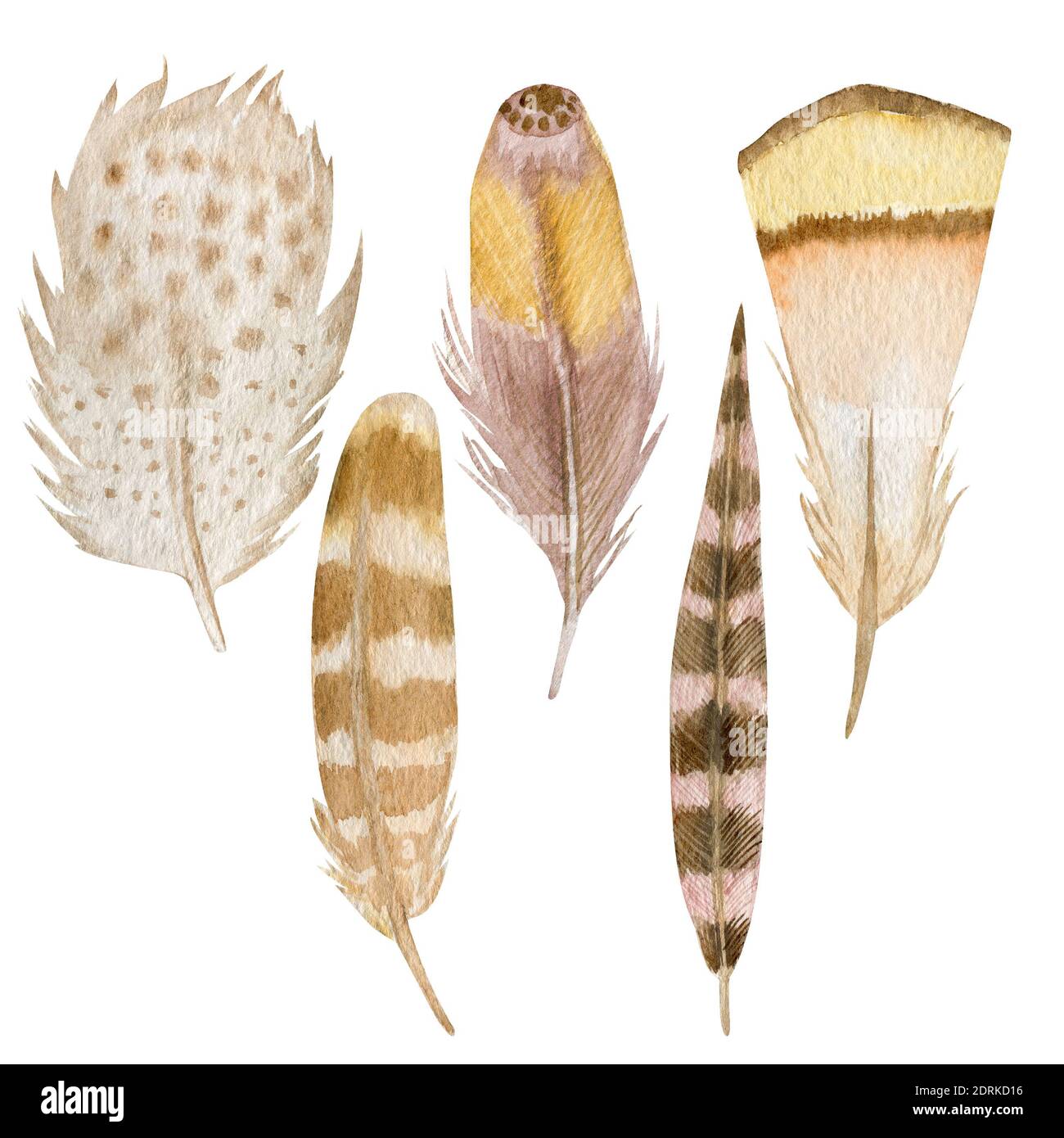 Bohemian collection Cut Out Stock Images & Pictures - Alamy