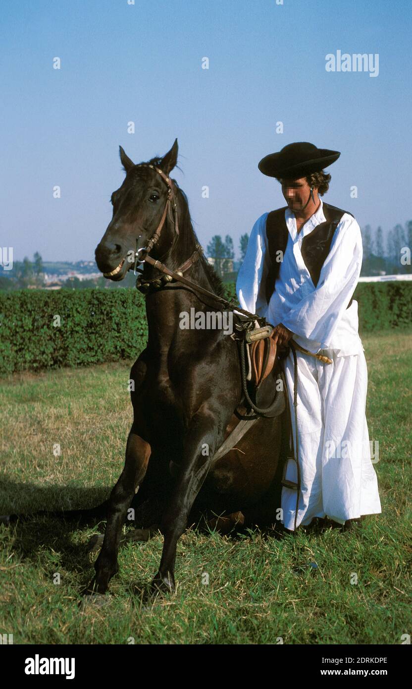 Nonius Horse, Rider of the Puszta in Hungary Stock Photo - Alamy