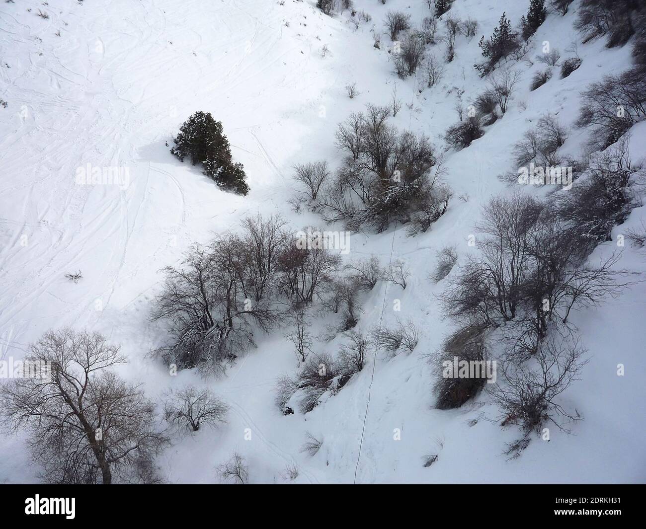 Mountain covered with snow top view, with trees and ski tracks Stock ...