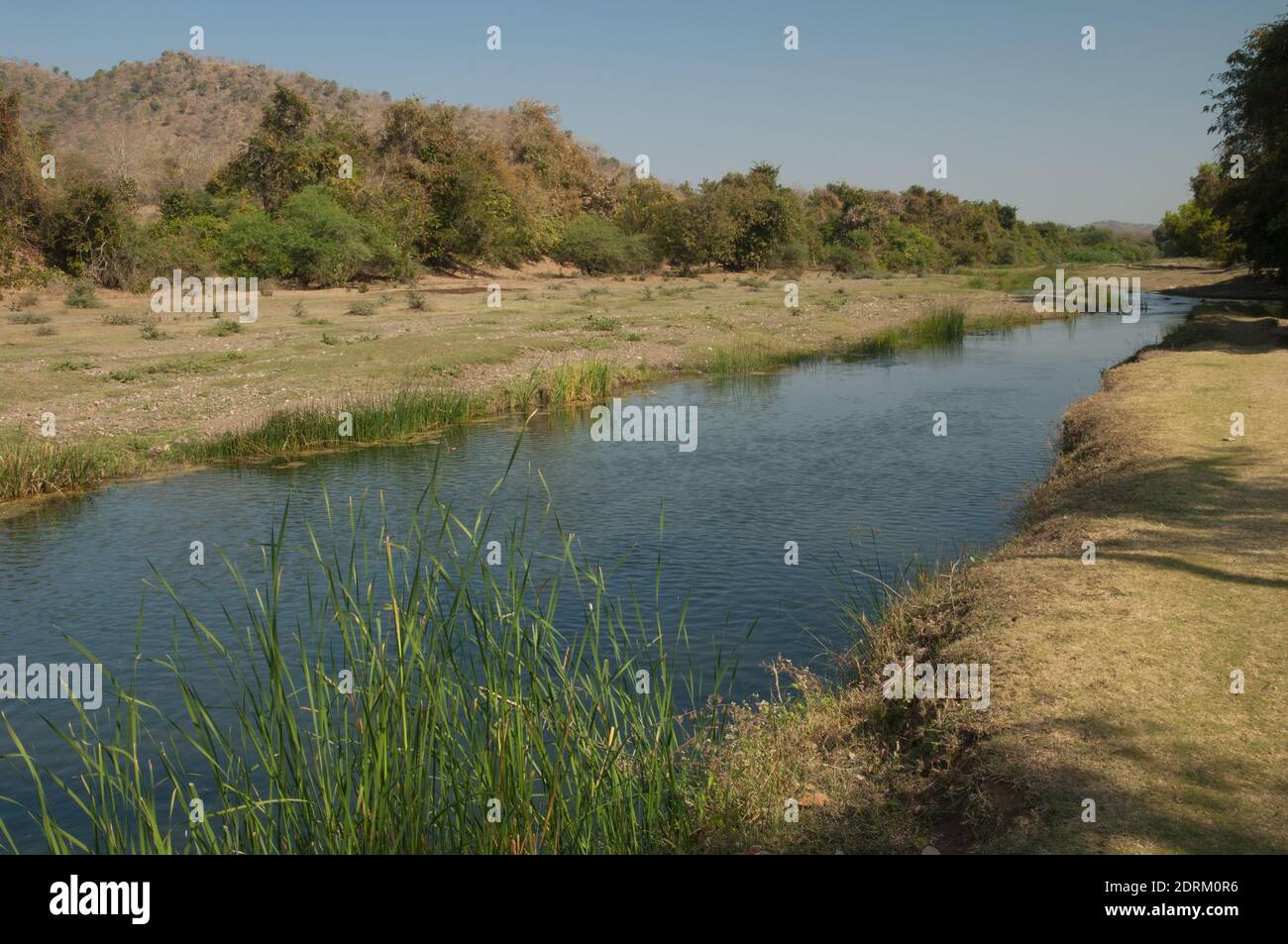 Hiran river in the Gir Sanctuary at Sasan. Gujarat. India Stock Photo ...