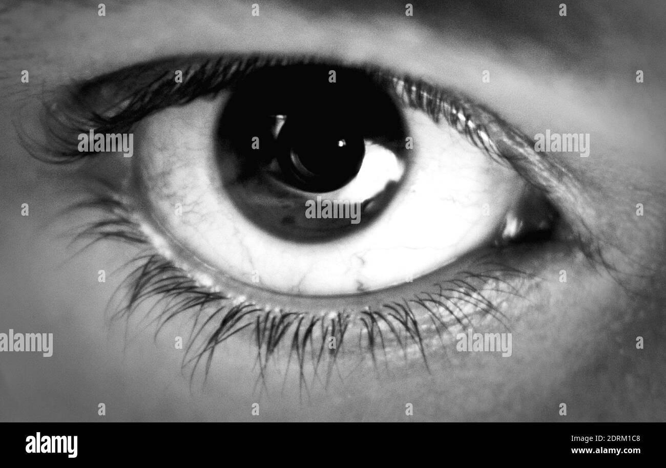 Close-up Portrait Of Human Eye Stock Photo - Alamy