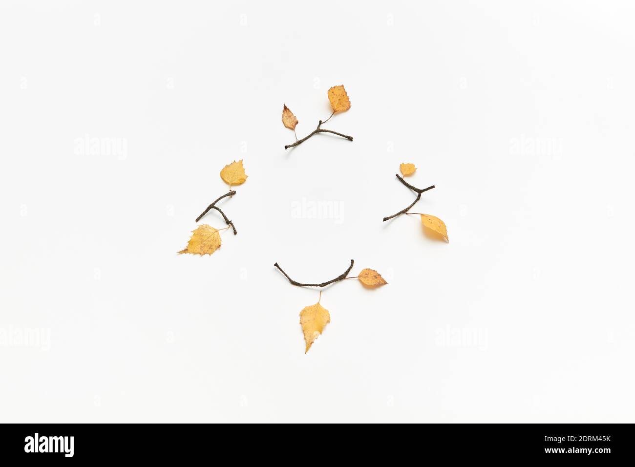 Frame dried leaves on Cut Out Stock Images & Pictures - Alamy