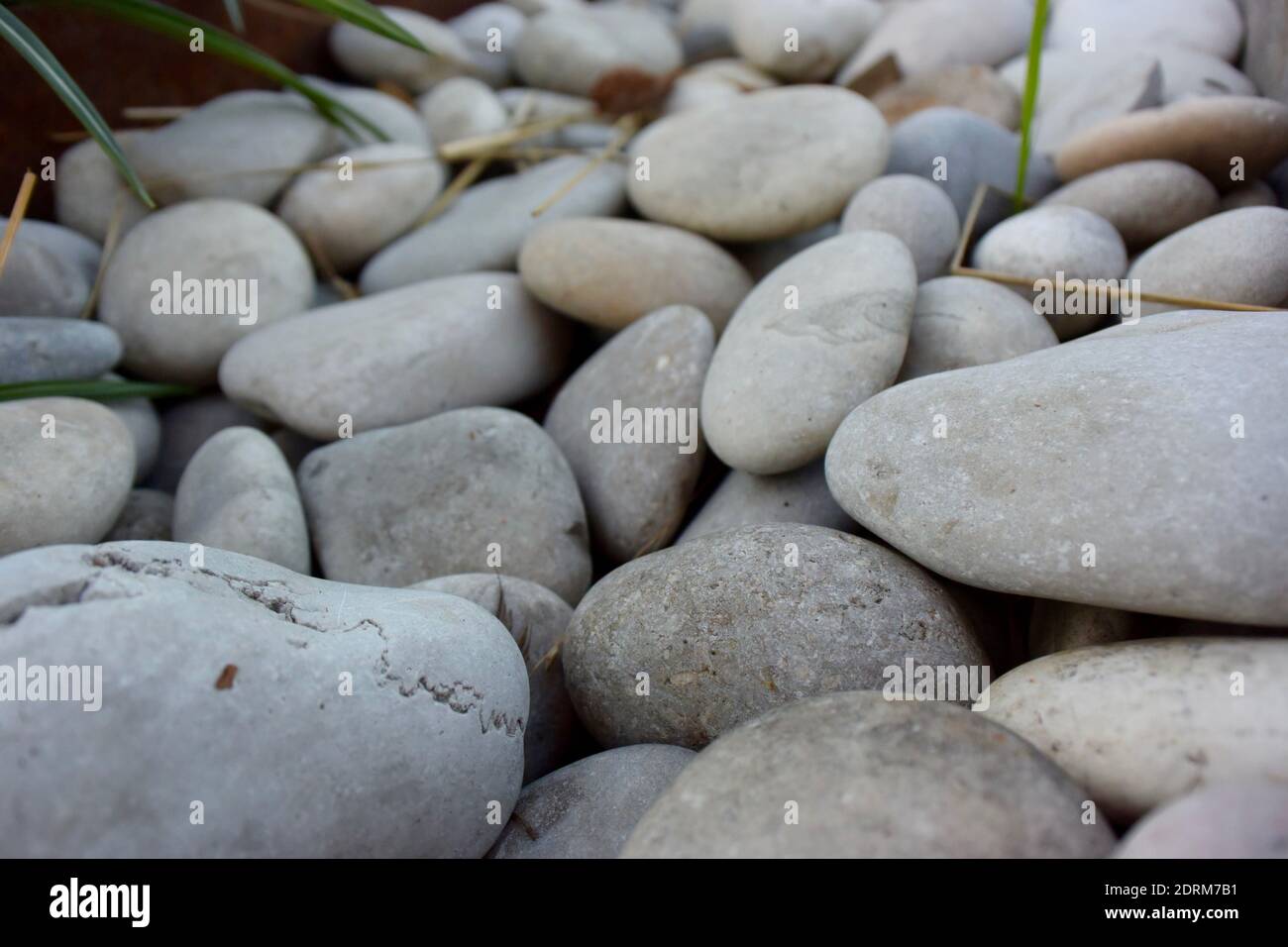 Pebble Full Frame Stock Photo - Alamy