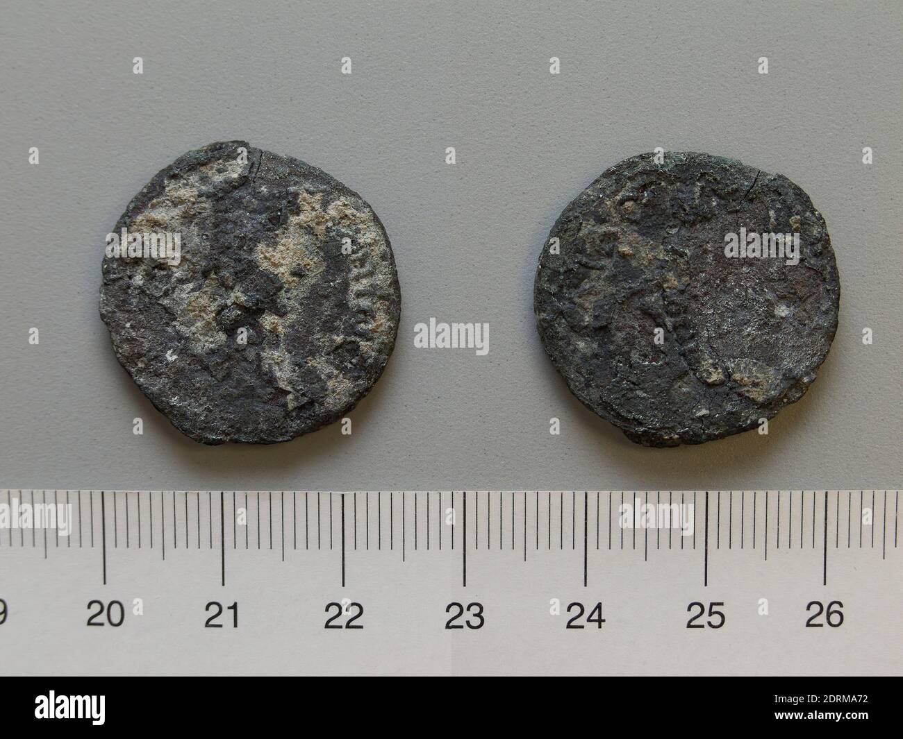 Phliasia hi-res stock photography and images - Alamy