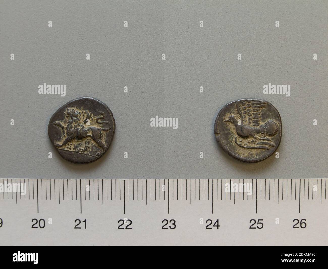 Sicyonia hi-res stock photography and images - Alamy