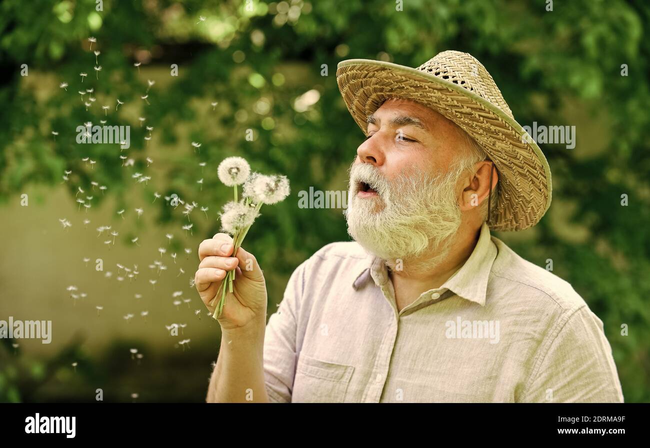 Spring in my head. old age and aging. spring village country. symbol of ...