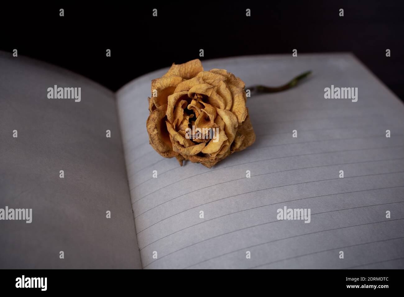 Faded words on page hi-res stock photography and images - Alamy