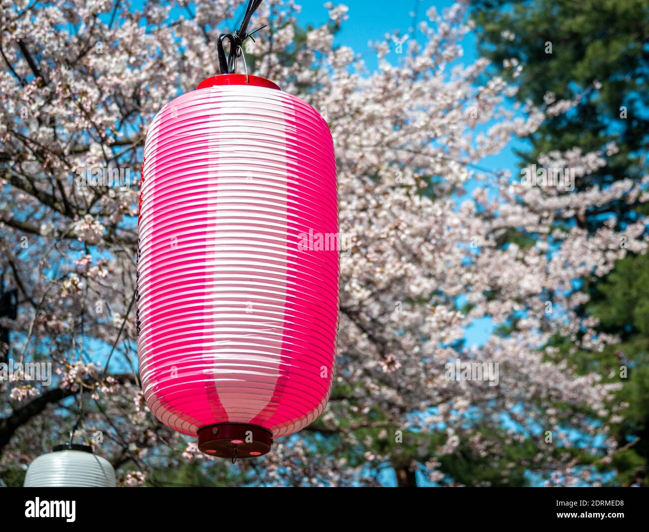 Light up traditional red Japanese rice paper balloons at a festival in ...