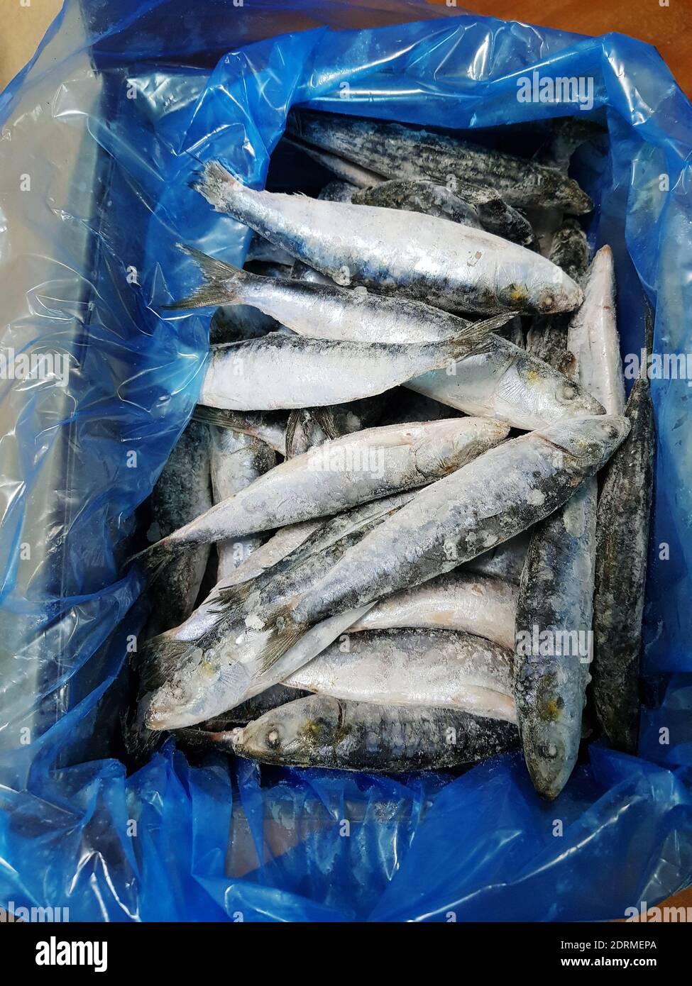 Western sahara fishing hi-res stock photography and images - Alamy