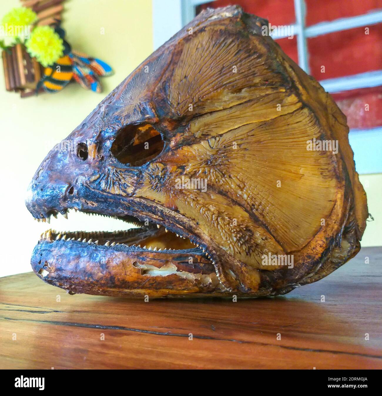 Fish bone mouth hi-res stock photography and images - Alamy