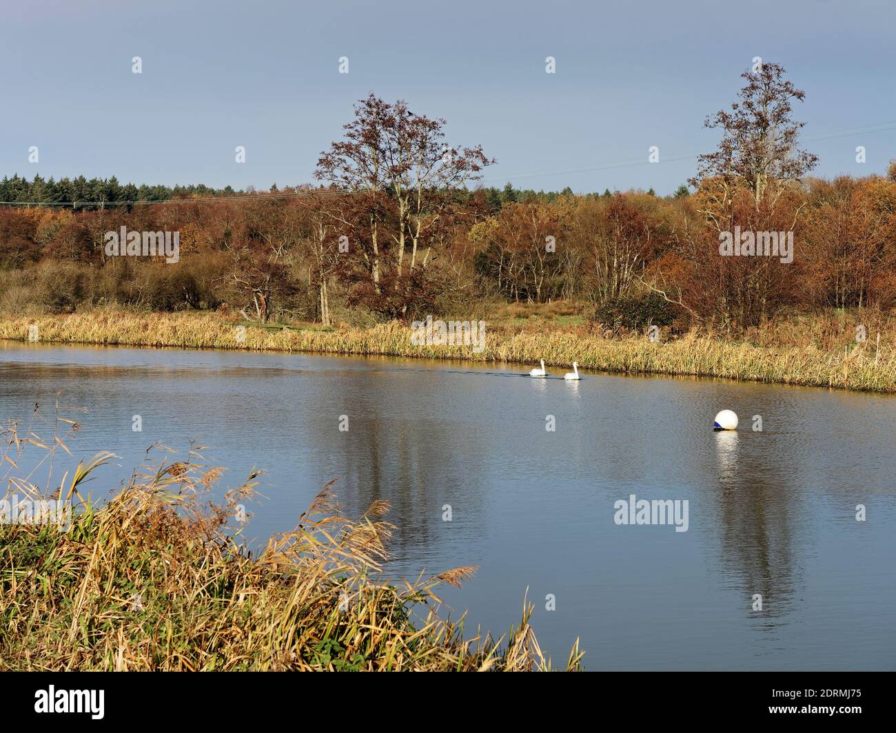 Late autumn view across the canal basin and millpond at Ebridge on the ...