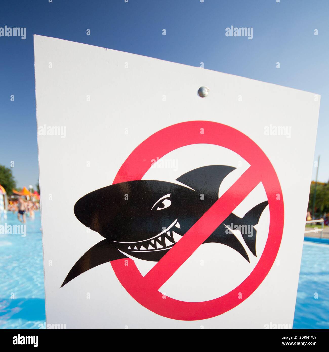 No Swimming Shark Sign