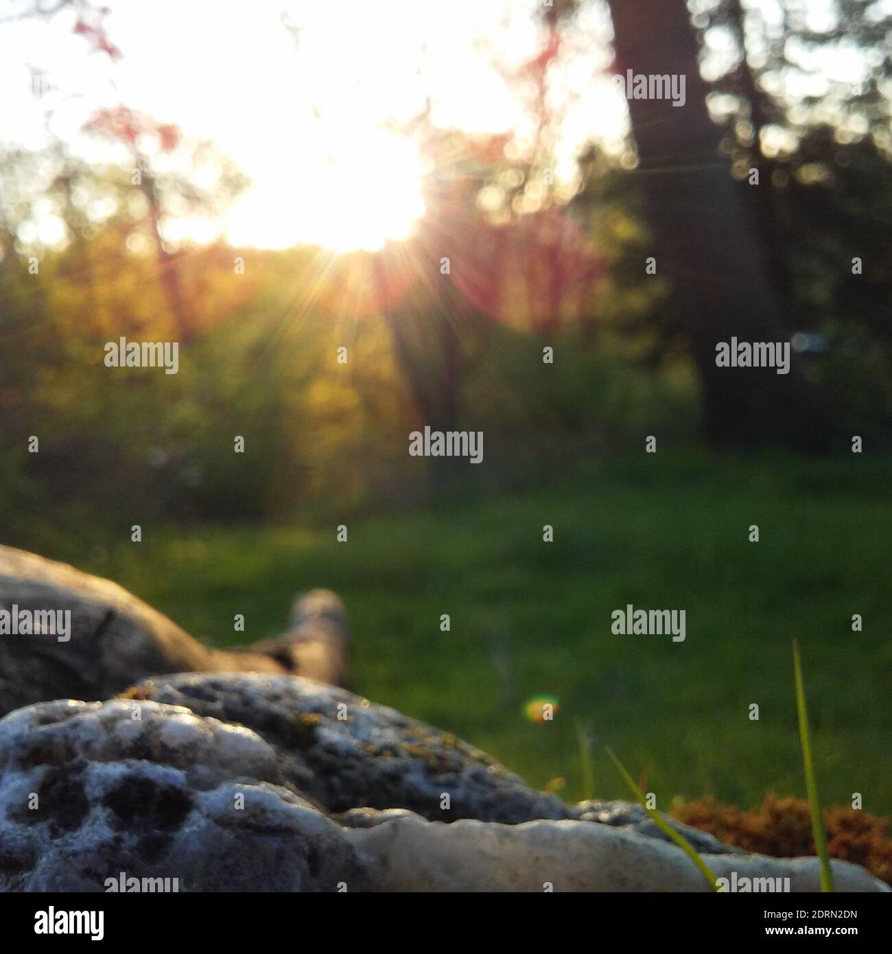 Ring shining in the sun hi-res stock photography and images - Alamy