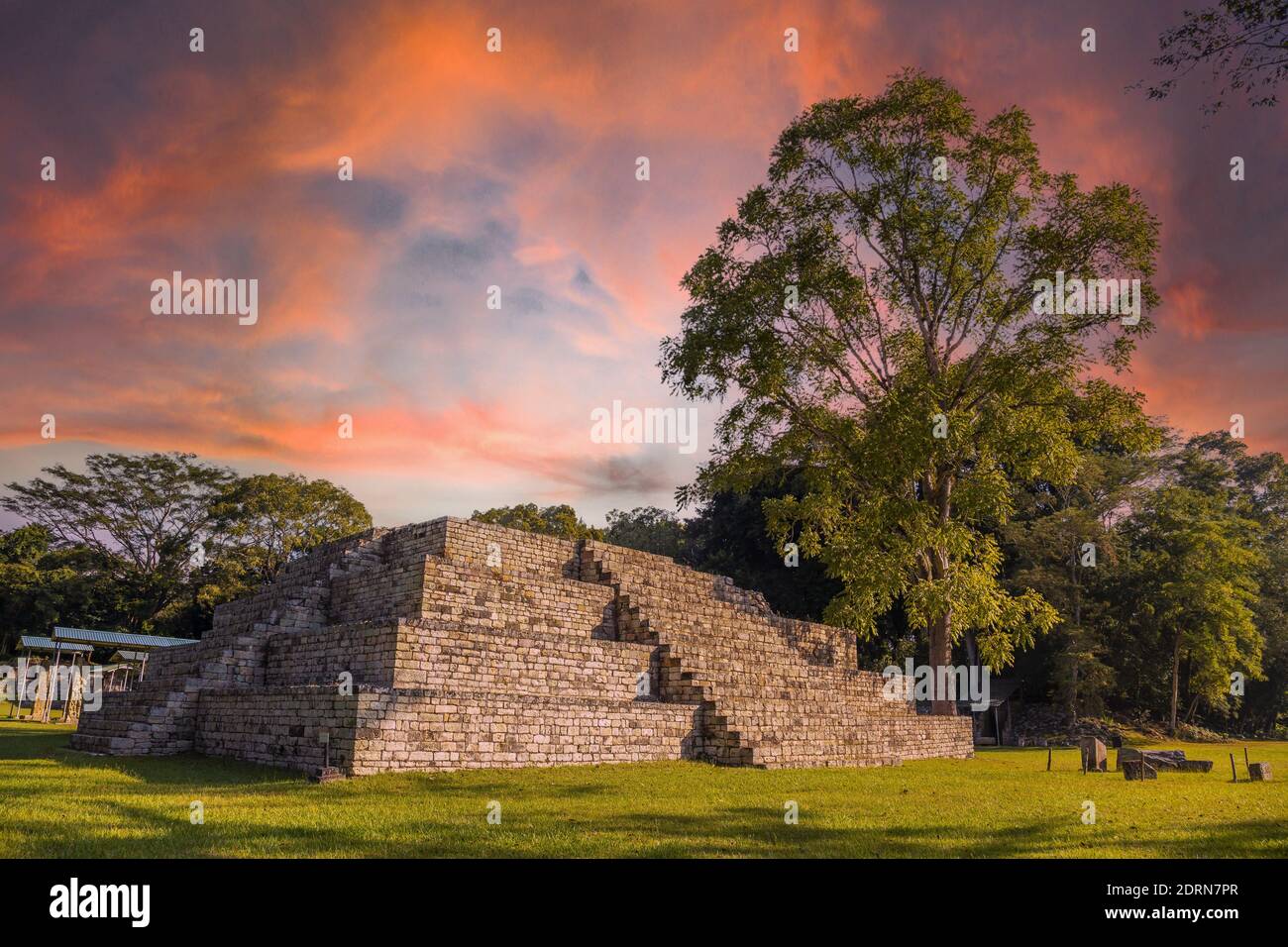 A Mayan pyramid next to a tree at Copan Ruinas, Honduras against a ...