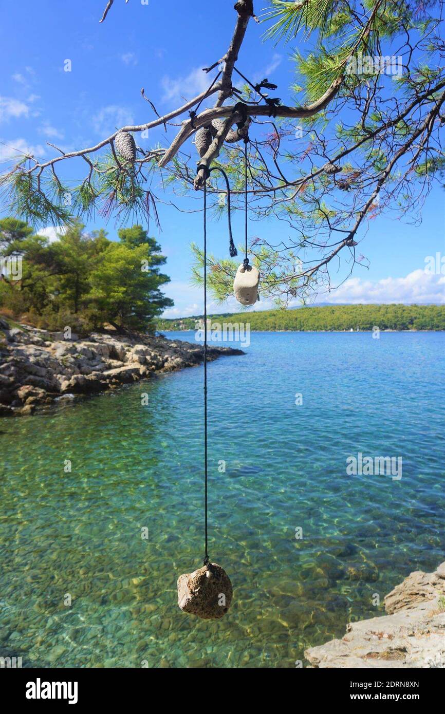 Branch Hanging Over Water High Resolution Stock Photography and Images ...