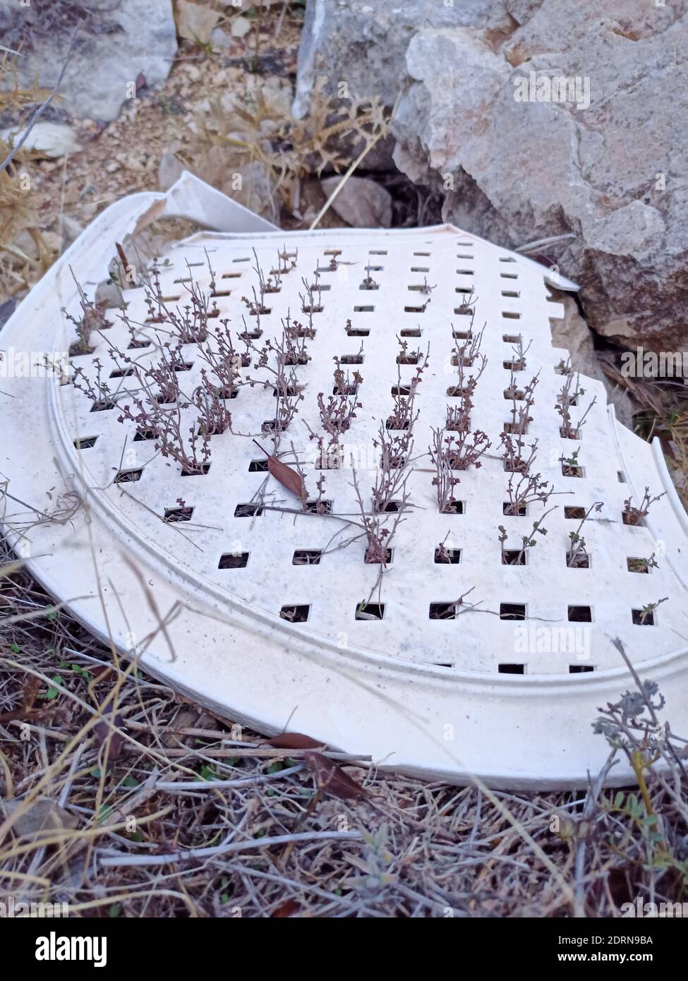 A vertical shot of a white round-shaped and broken plastic object left ...