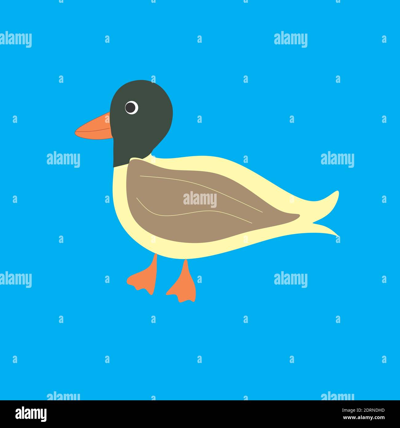 duck beautiful art work photo Stock Photo - Alamy