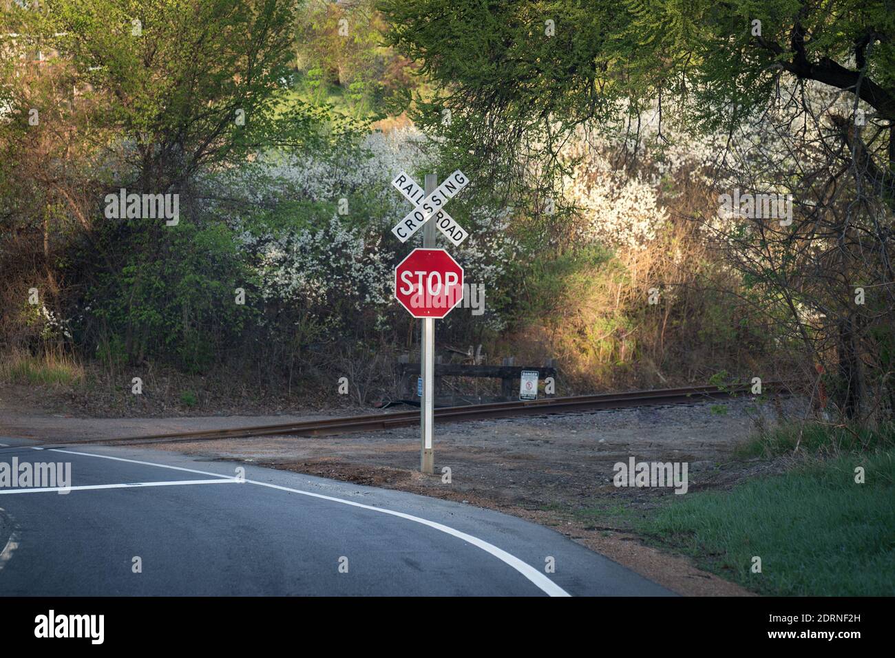Railroad Crossing Sign By Road Against Trees Stock Photo - Alamy