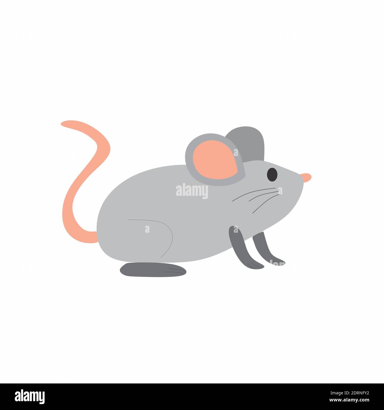rat beautiful art work photo Stock Photo - Alamy