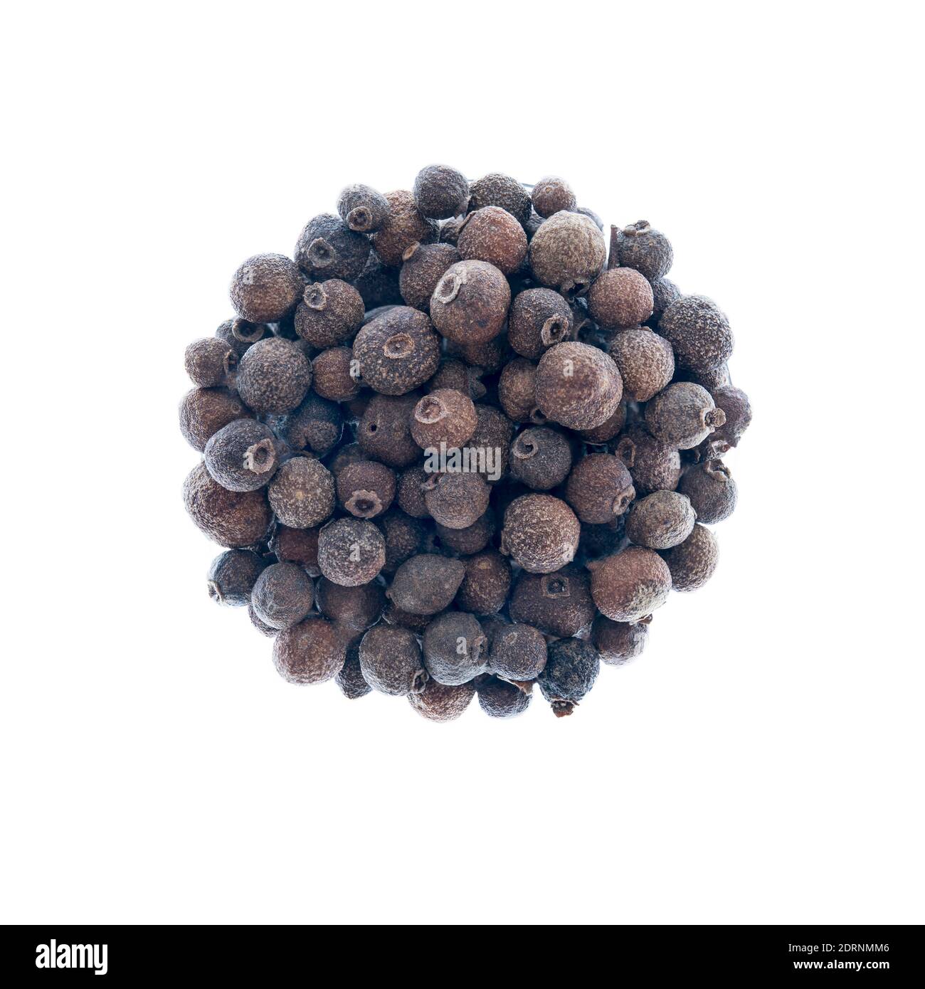 Seed sphere Cut Out Stock Images & Pictures - Alamy