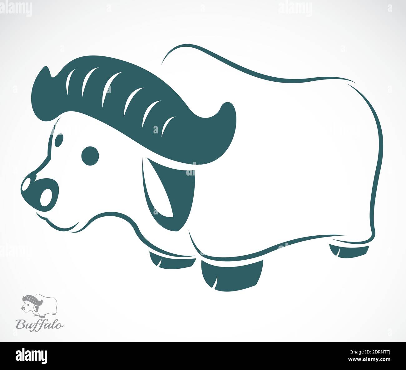 Vector of a buffalo on white background. Easy editable layered vector ...