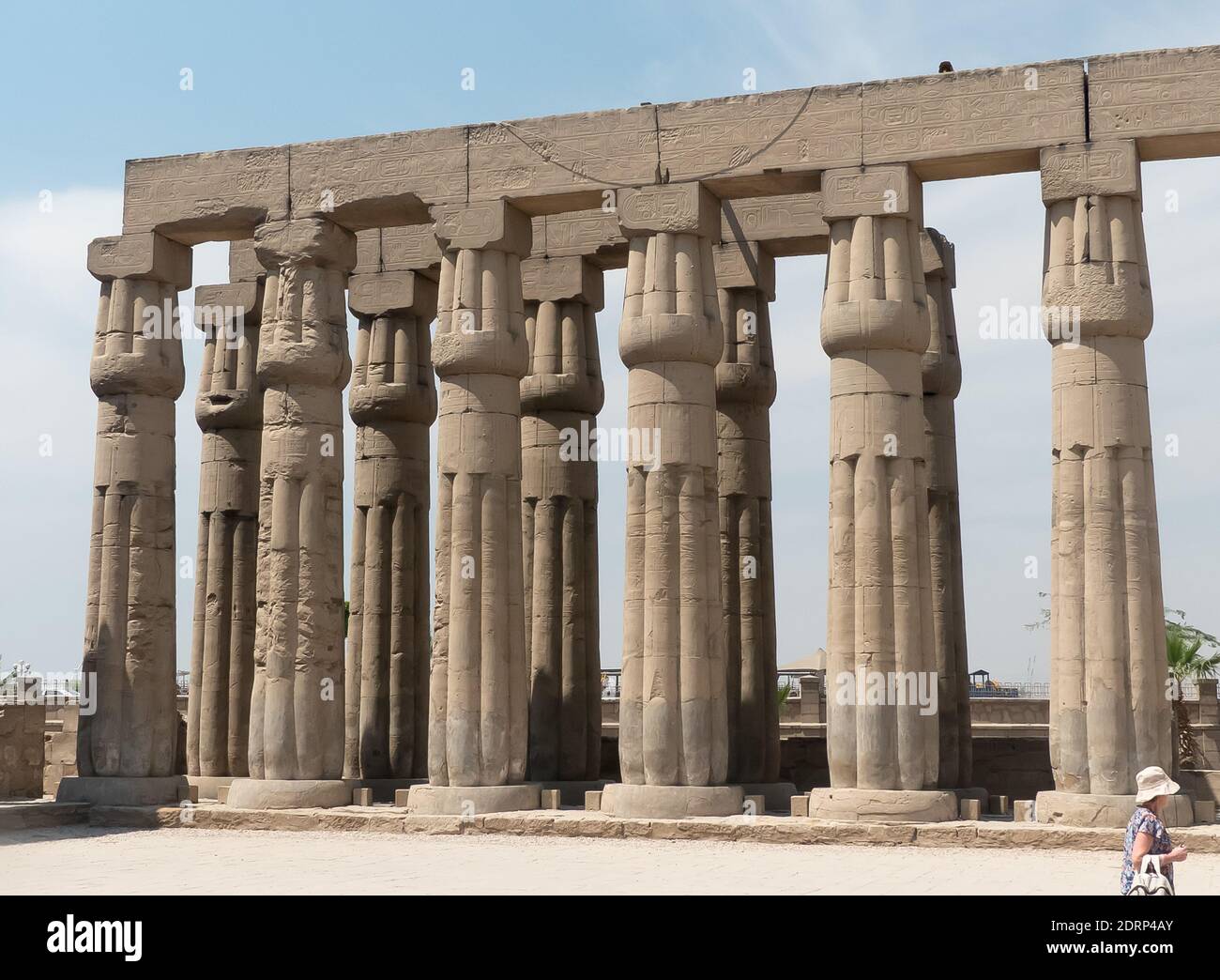 Egypt: Lotus Columns in the Luxor Temple complex Stock Photo - Alamy