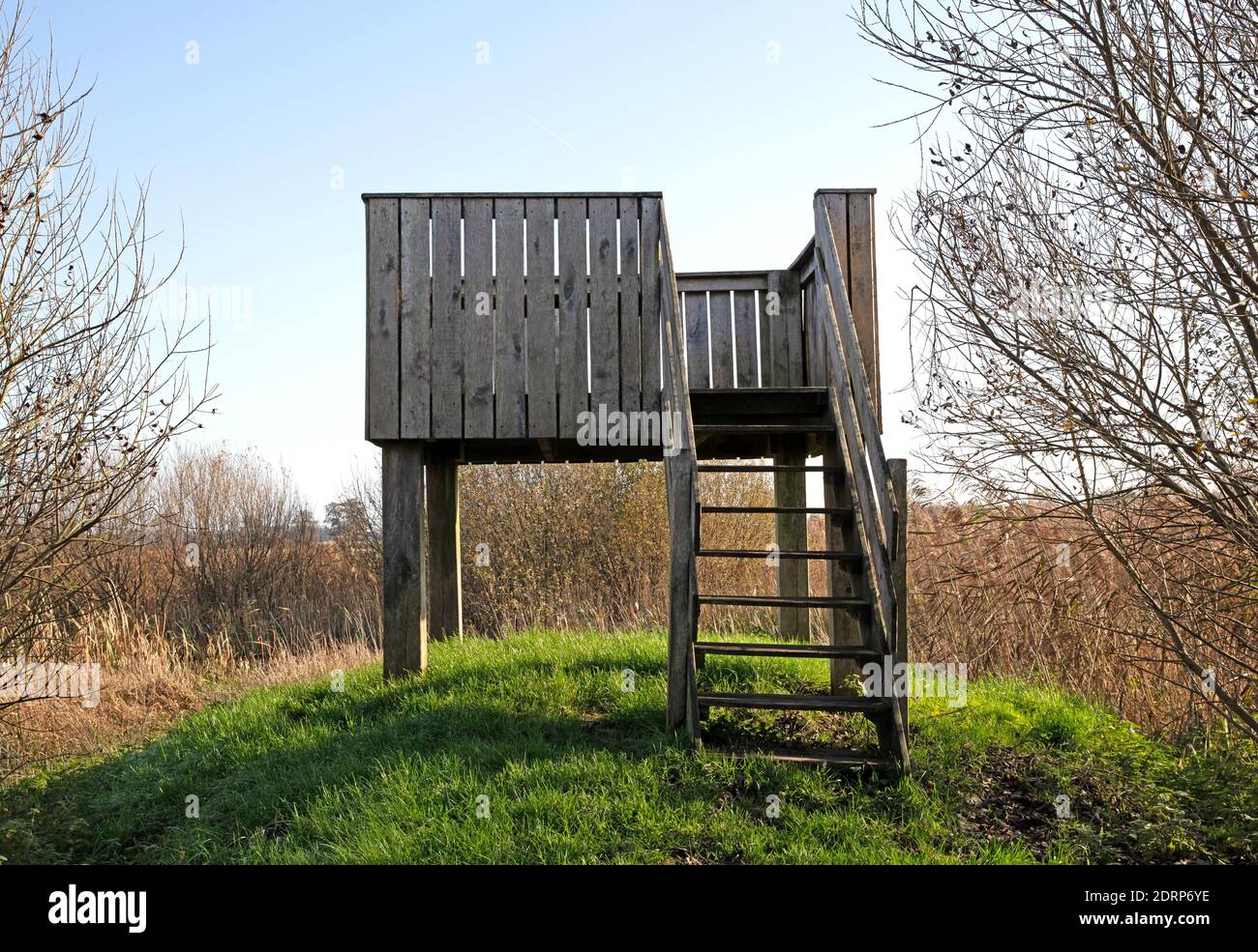 Small bird watching tower in the Netherlands Stock Photo - Alamy