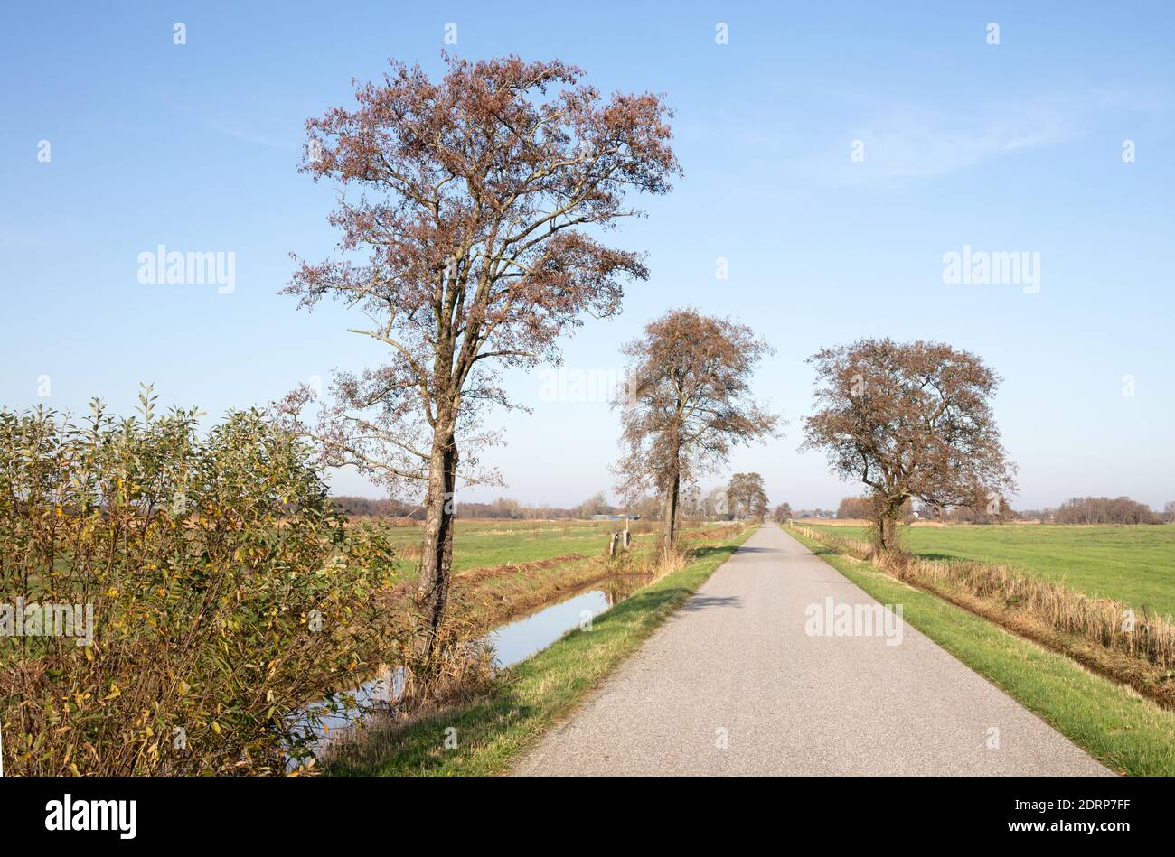 Simple small road in the dutch landscape (Friesland Stock Photo - Alamy